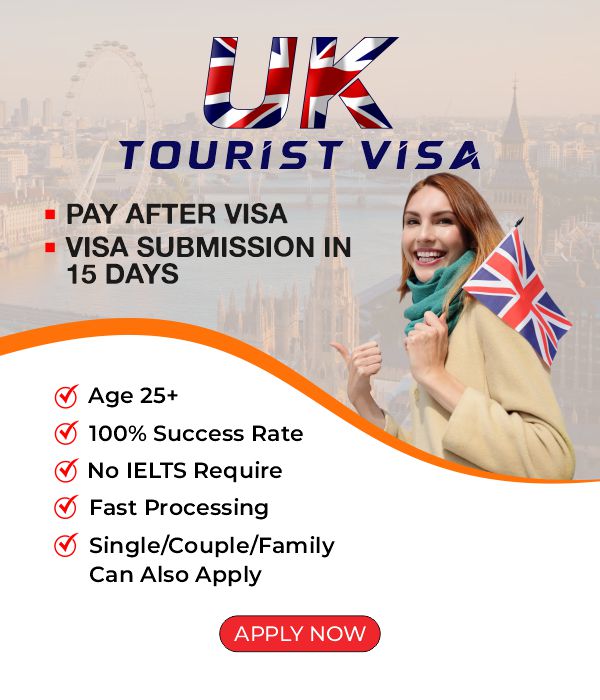 VArise Visa Immigration